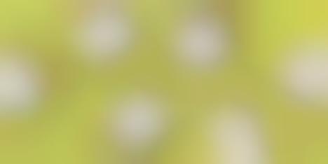 Nut Butter Infusion - Health-conscious nut butters serve as a vehicle ...