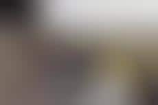 Wearable Camera Stabilizers : camera stabilizers