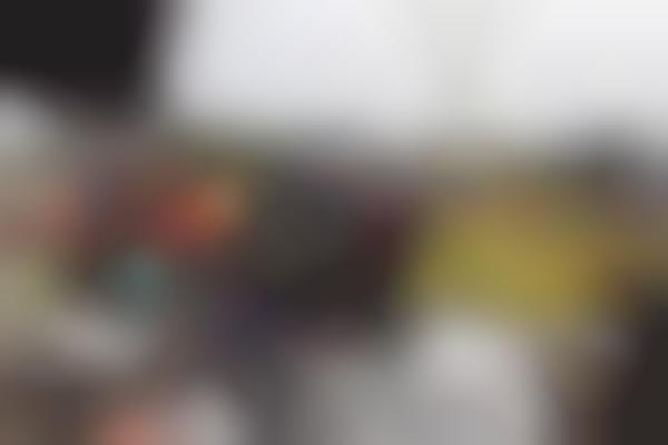 Wearable Camera Stabilizers : camera stabilizers