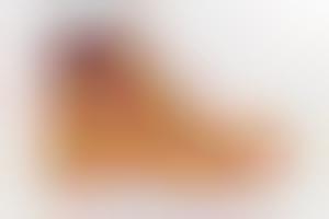 Luxuriously Branded Boots : Gucci Timberland