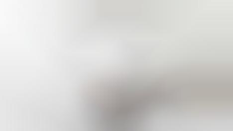 Humorous Home Assistants : assistant