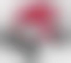 Remote Control Coolers : c3 custom cooler