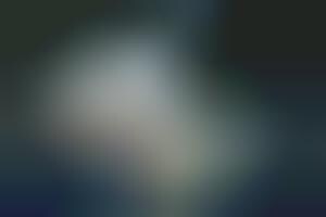 Hovering Cubic Gardens : australian national botanical gardens