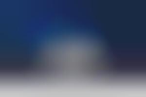 Mediterranean Packaged Bread Sticks : packaged bread sticks