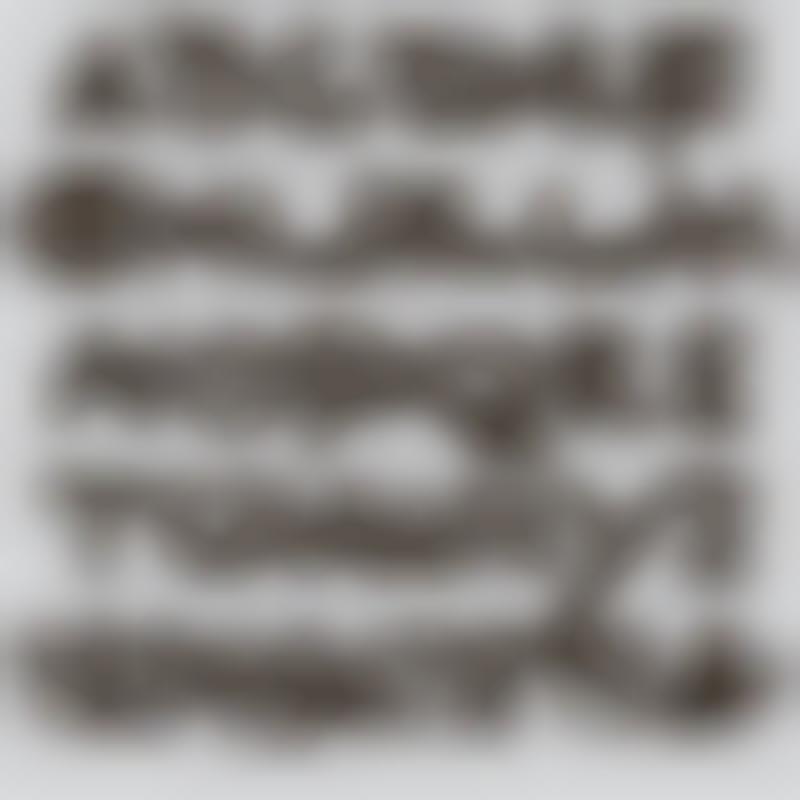 Top 100 Political Trends in 2016