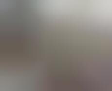 Academic Family Homes : the study house