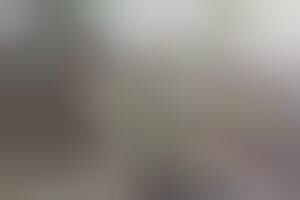 Academic Family Homes : the study house