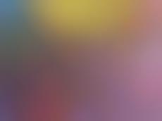 Knockoff Pop-Up Shops : fake Zara