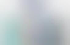 Portable Document Scanners : IRIScan Book 5