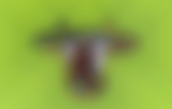 Cow-Monitoring Stomach Implants : smaxtec