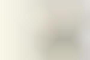 Fantasy Series Notebooks : notebooks