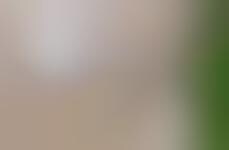 Compartmentalized Office Interiors : interior design firm