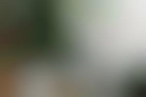 Science Lab Kitchens: Concoct Your Own Chemistry Cuisine With Lab ...