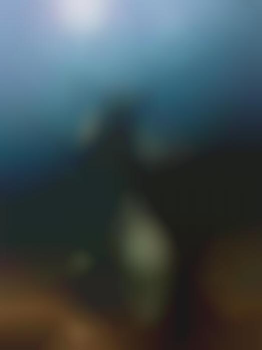 14 Examples of Submerged Art