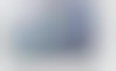 Potty-Trained Parrots: Owners Teach Their Bird to Poo in the Loo