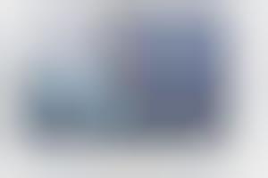 Potty-Trained Parrots: Owners Teach Their Bird to Poo in the Loo