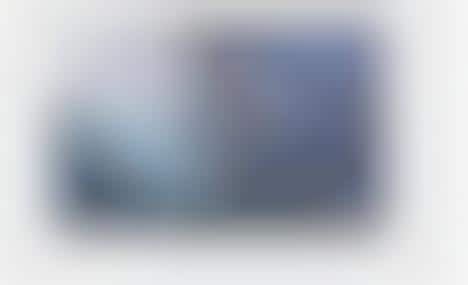 Potty-Trained Parrots: Owners Teach Their Bird to Poo in the Loo