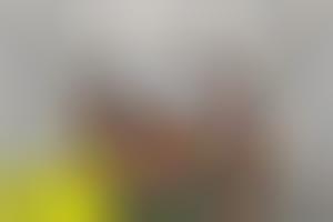 Cakevertising: Amnesty International Celebrates Its 60th With Symbolic ...