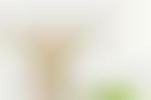 Fantasy Storage Spaces: Träd Enchanted Forest Shelter is for ...