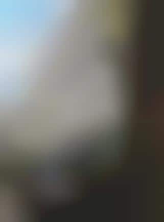 41 Eccentric Bicycles