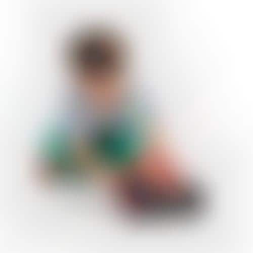 Top 100 Toy Trends in 2016