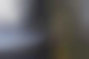 Tree-Embedded Cube Structures : plane-tree-cube nagold