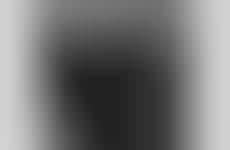 Distressed Co-Branded Fashion : Antonioli