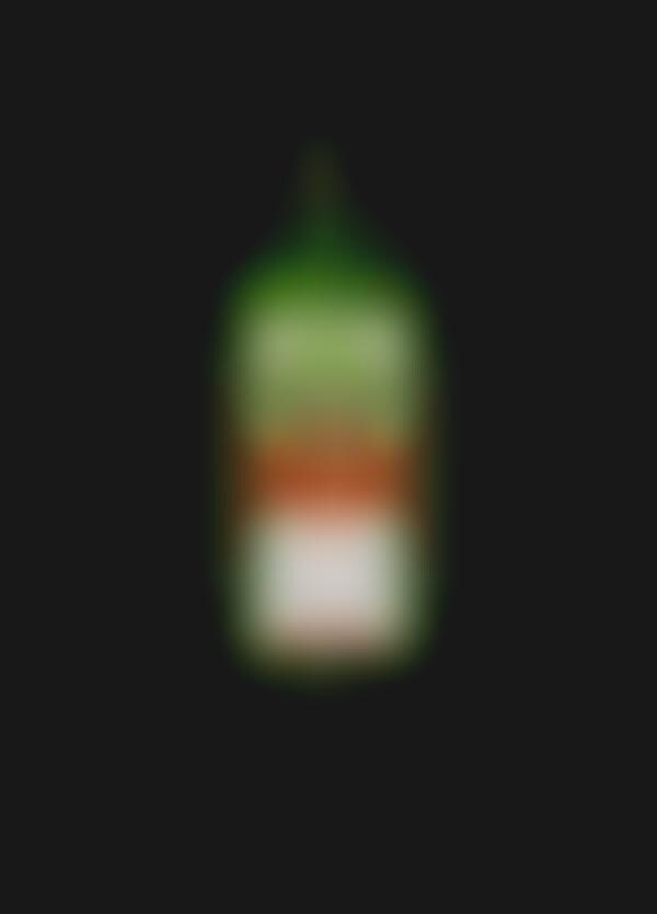 Iconic Liquor Bottle Redesigns : jagermeister bottle