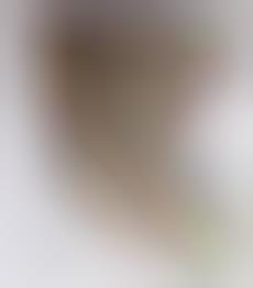 Modular Floral Wall Ornaments : camentsa