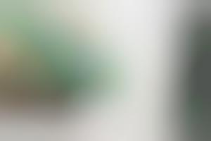 Scent-Identifying Devices : odor detector