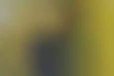 Homeless Locker Programs : storage locker