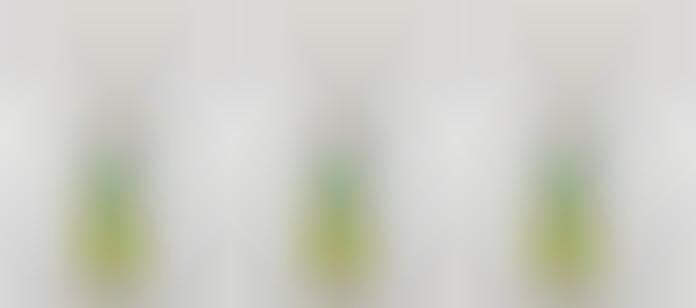 Top 40 Beverage Trends in February