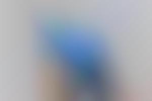 Enhanced Safety Knife Cleaners : clean a knife