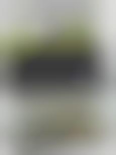 Symbiotic Fish Tank Gardens : aquaponic garden