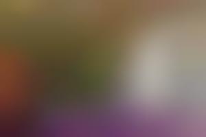 Eccentric Castle Offices : Money.co.uk