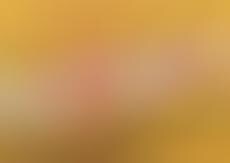 Chocolate-Filled Leavened Breads : B-ready