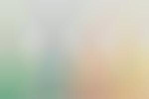 Vegetable Snack Bars : vegetable snack bars