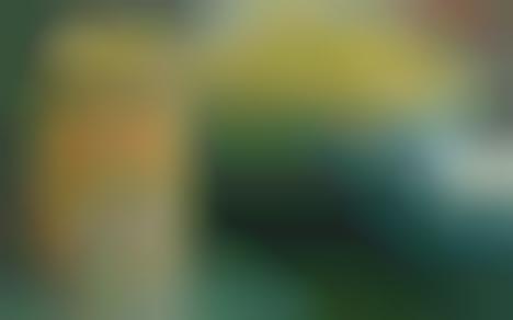 Transparent Bean Can Branding : canned bean