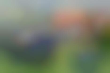 Realistic Driving Performance Toys : toy car