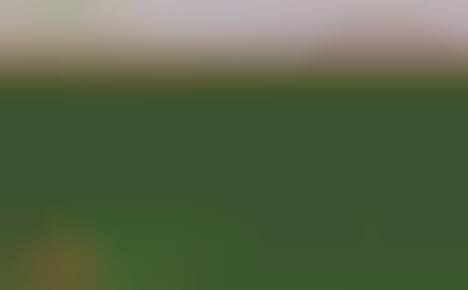 Green Burial Services : Joshua Tree Memorial Park