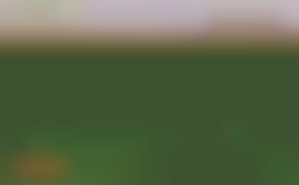 Green Burial Services : Joshua Tree Memorial Park