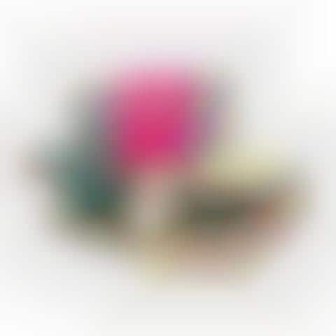 30 DIY Artisan Food Innovations