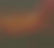 Continuous Butter Ribbon Dispensers : spread butter