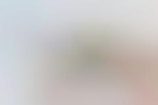 Raw Baby Food Subscriptions : Raised Real