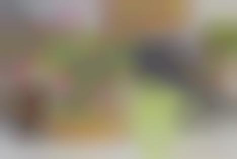 Touch-Encouraging Plant Pots : interactive flower pot