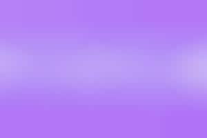 Memorializing Advisory Labels : purple parental advisory