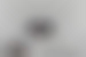 Organically Inspired Moving Lamps : inmoov