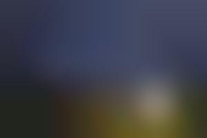 Flexible Architecture: The Sliding House Transforms its Appearance and ...