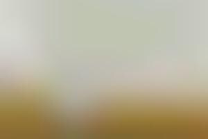 Energy Use Awareness Devices: Power-Hog Piggy Bank Sensitizes Kids to ...