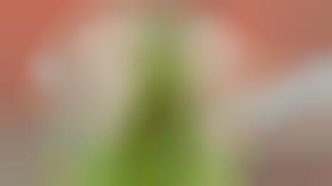 Futuristic Bio-Dome Designs : bioclimatic domes